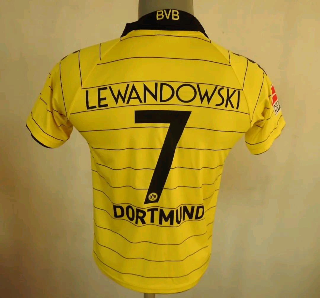 🎉 Exklusives Robert-Lewandowski-Trikot zu verkaufen – ein Muss für ...